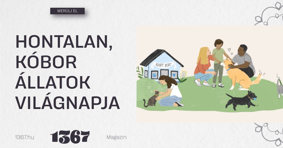 Hontalan, kóbor állatok világnapja – 1367