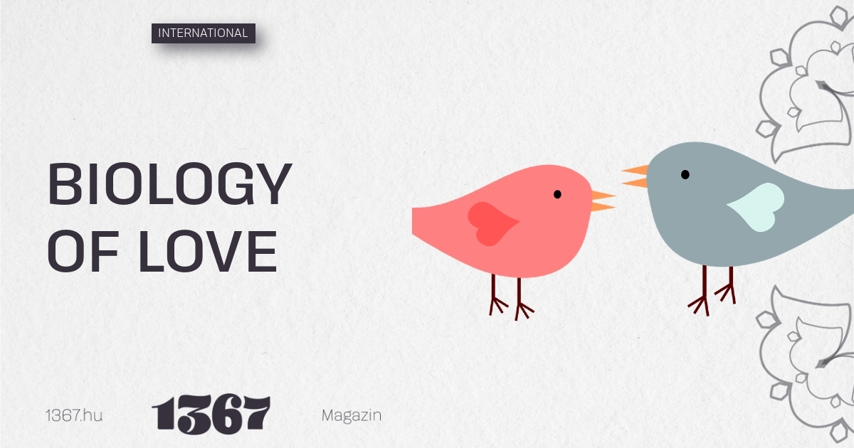 Biology of love – 1367